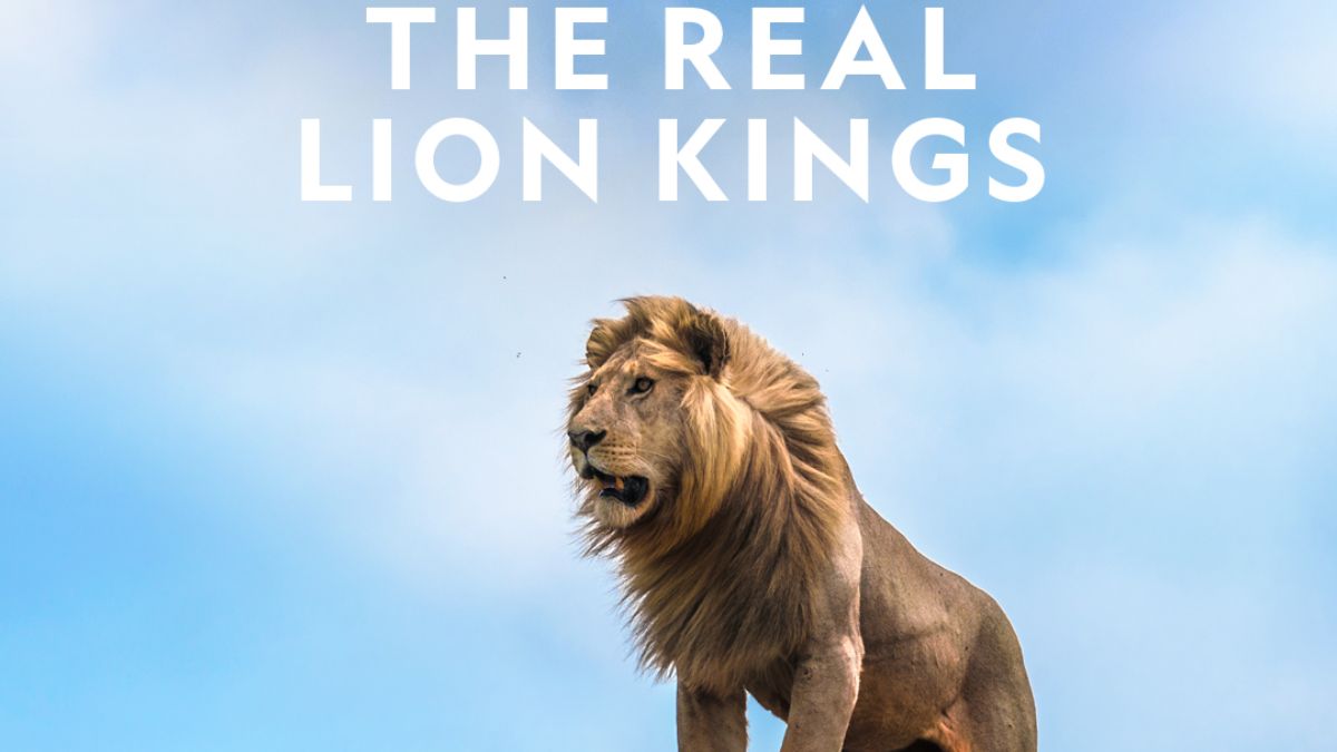 National Geographic Wild's Big Cats Special Airings - FootNotes Media