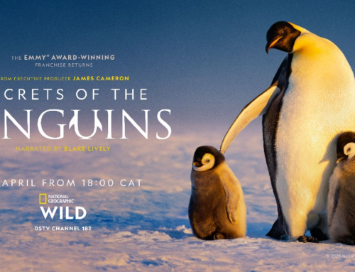 The Final Season of Adulting Premieres This January - FootNotes Media