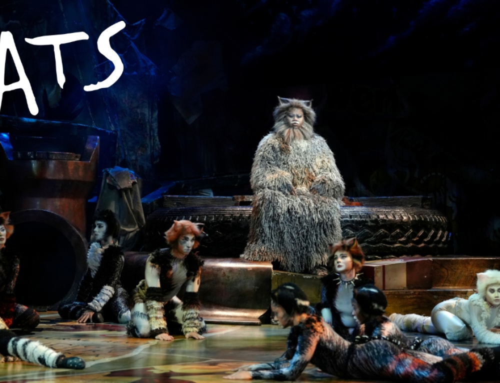 The Smash-Hit Musical CATS Opens At The Artscape This Festive Season ...